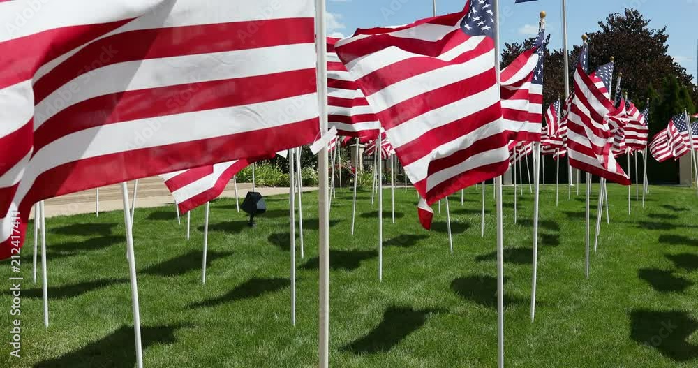 USA flags patriotic display in park. Patriots 4th July celebration. The ...