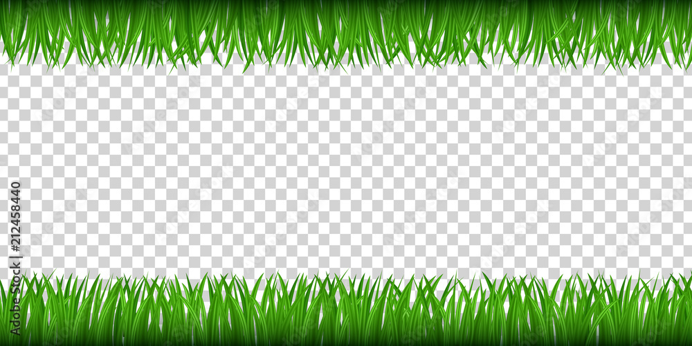 Vector realistic isolated grass borders for decoration and covering on ...