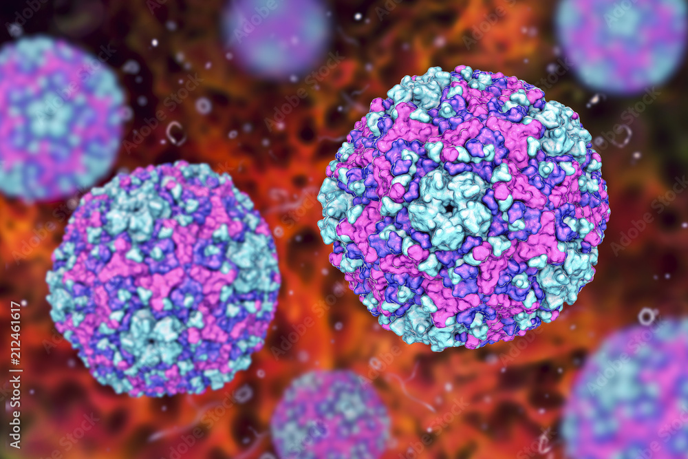 Acute Hemorrhagic Conjunctivitis Virus