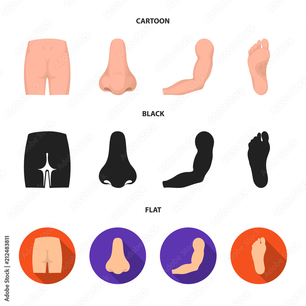 Buttocks, nose, arm, foot. Part of the body set collection icons in ...