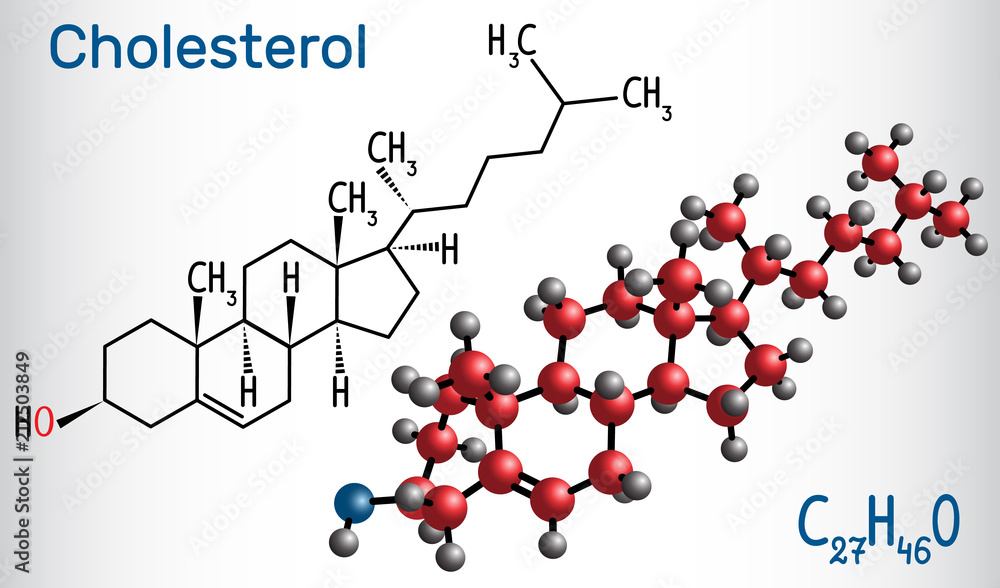 Cholesterol Molecule Structural Chemical Formula And Molecule Model