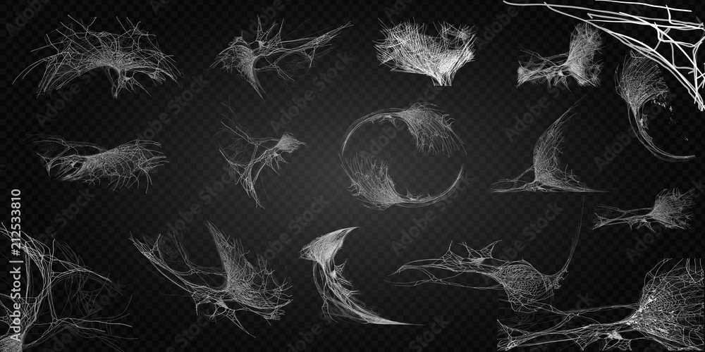 Collection of Cobweb, isolated on black, transparent background ...