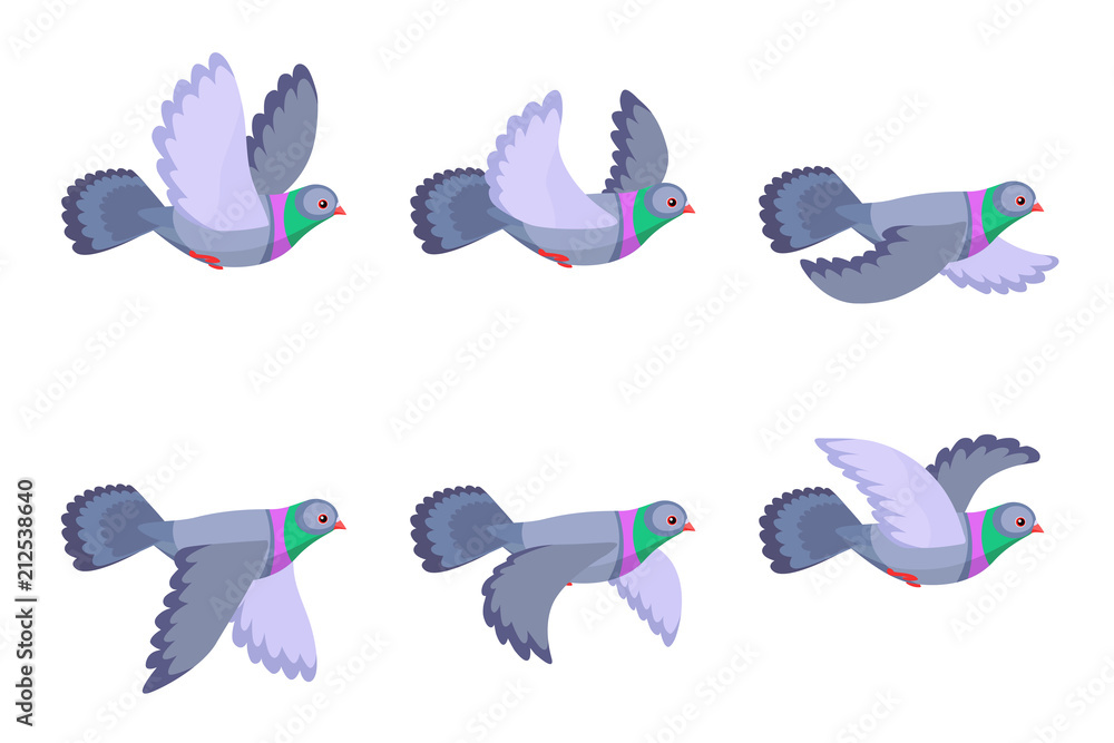 Cartoon Pigeons Flying