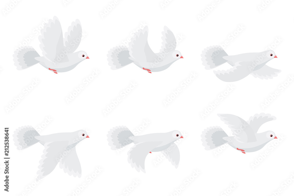 Dove Flying Animation