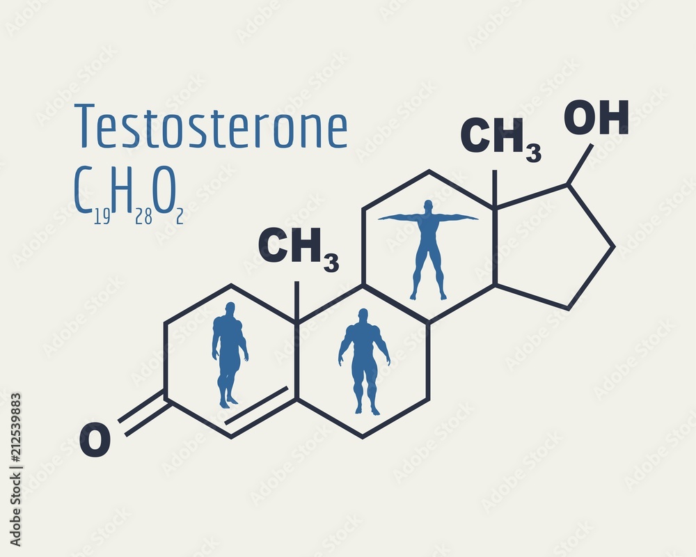 Chemical molecular formula hormone testosterone. Infographics ...
