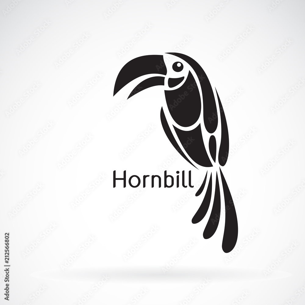 Vector of hornbill design on white background., Wild Animals. Birds ...