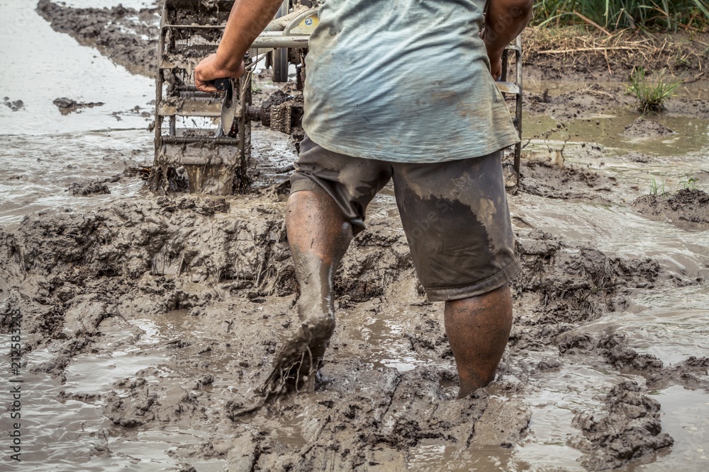 Strong asian farmer driving tiller tractor in muddy field, detail of ...