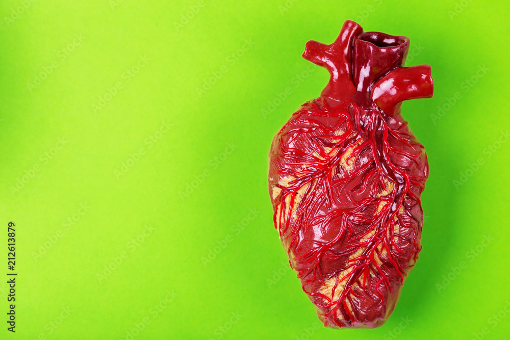 Human heart clay model. Green background Medical concept Stock Photo ...