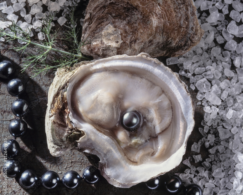 Beautiful Oyster Pearl