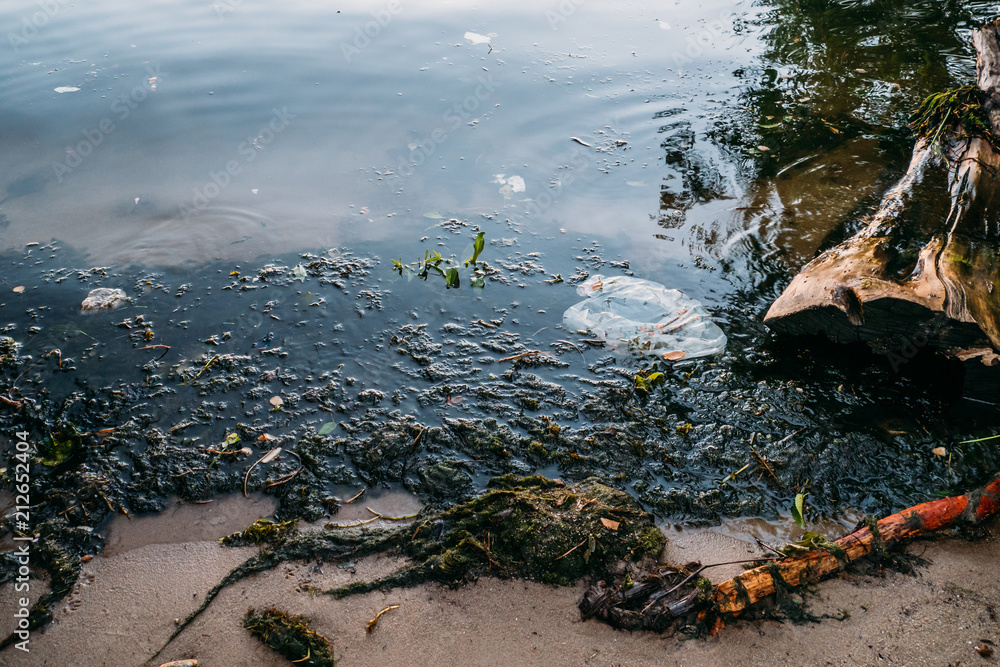 Trash floats in dirty foul water, dirty sea and pools Stock Photo ...