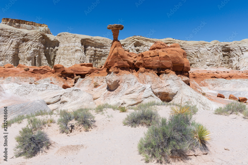 Toadstool Hoodoos in Grand Staircase-Escalante National Monument, Utah ...