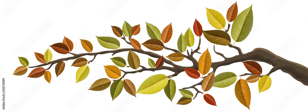 Autumn tree branch with colorful autumn leaf set. Vector illustration for horizontal banner ...