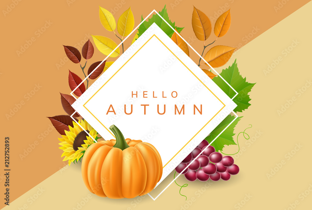 Geometric frame for harvest, with autumn leaf, grape, sunflower and ...