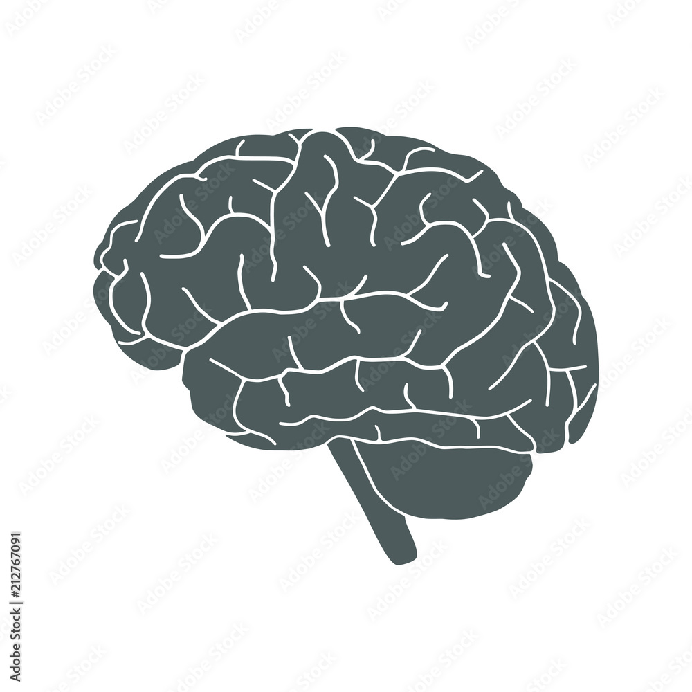 Icon human organ brain. Sign human brain. Isolated gray symbol brain on ...