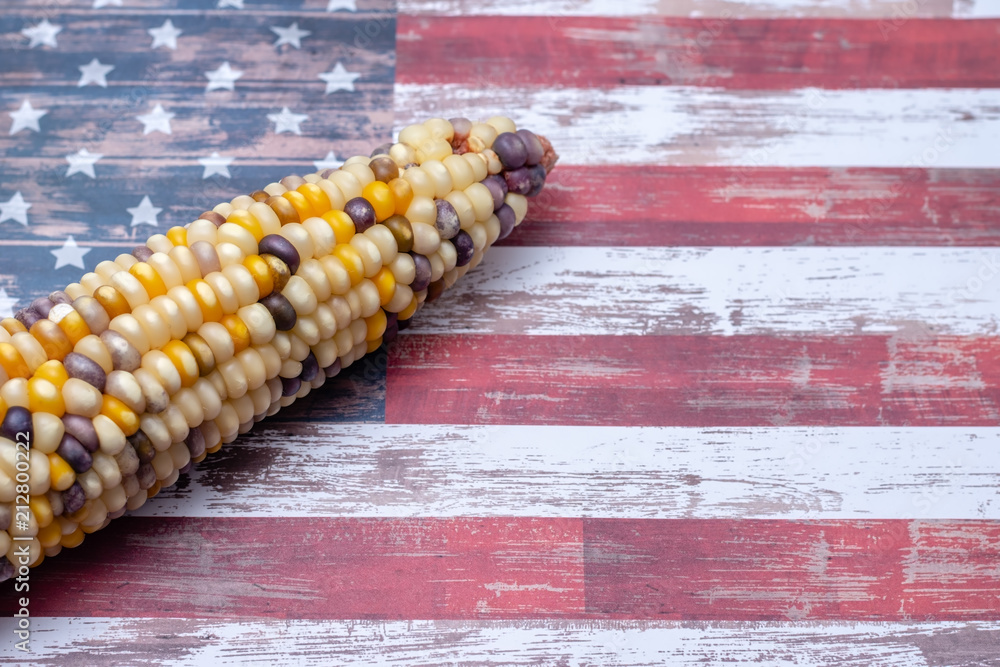 Maize or corn cob on USA flag background for harvest theme and room for ...