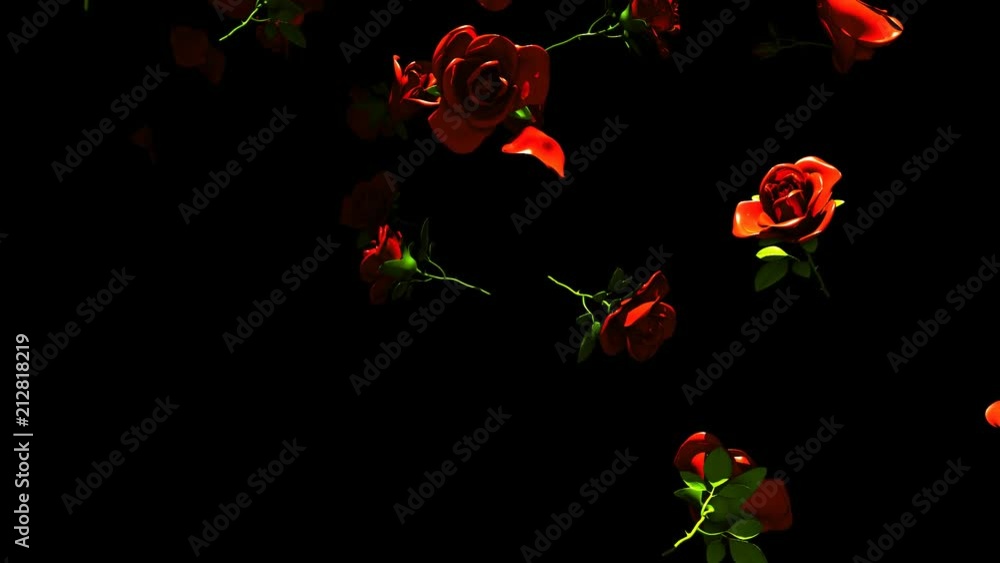 Falling Red Roses On Black Background.3DCG render Animation. Stock ...