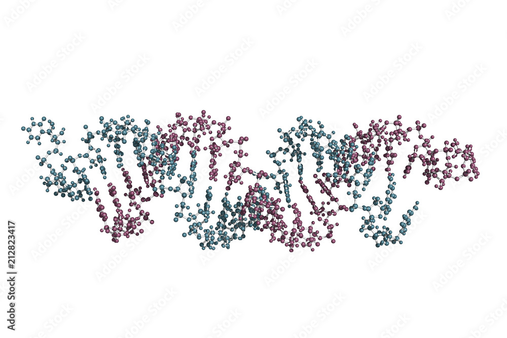 small interfering RNA bound to a messenger RNA, ball and stick model ...