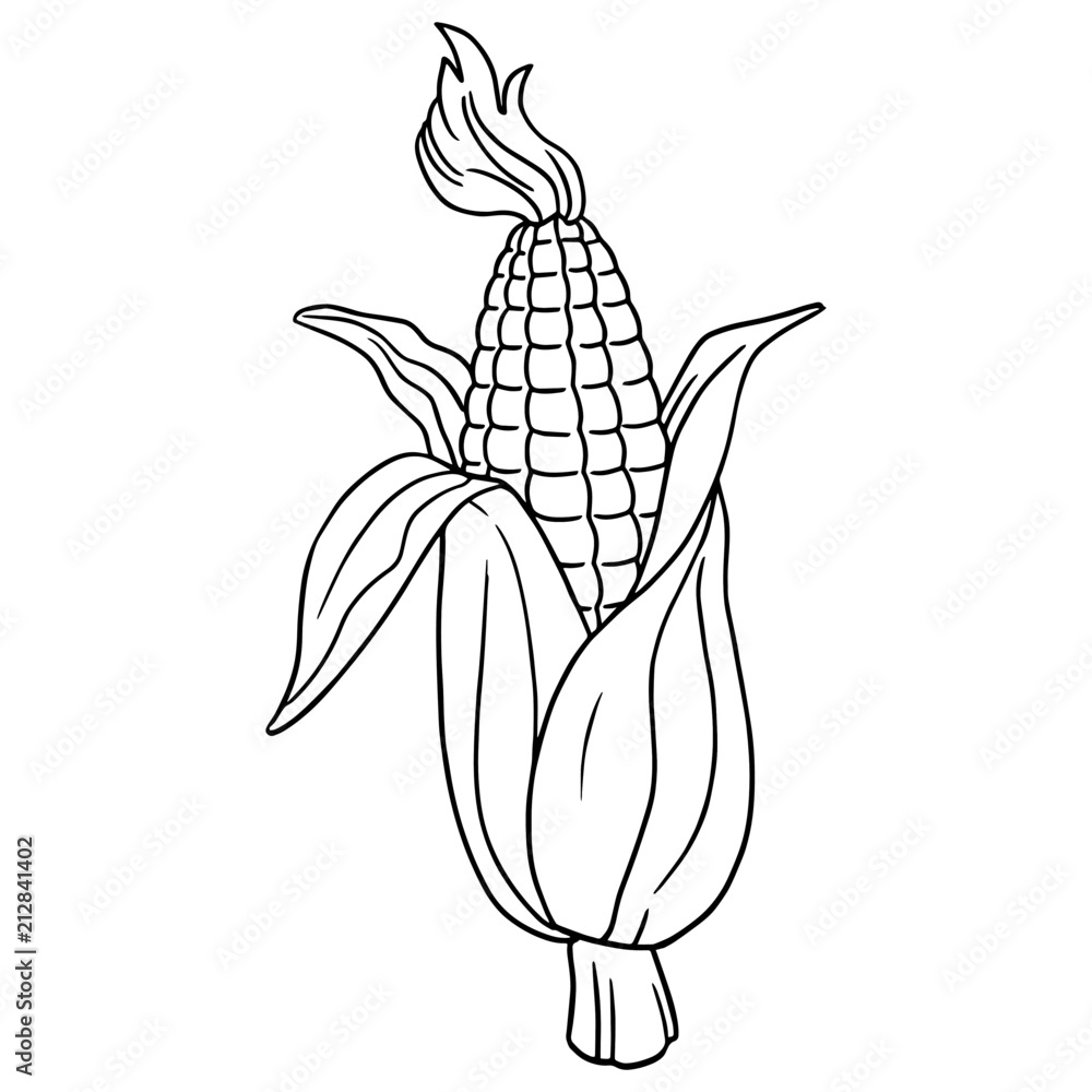 Corn cartoon illustration isolated on white background for children ...