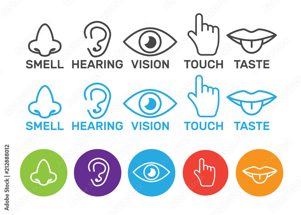 Icon human senses: vision, smell, hearing, touch, taste. Icons sense ...