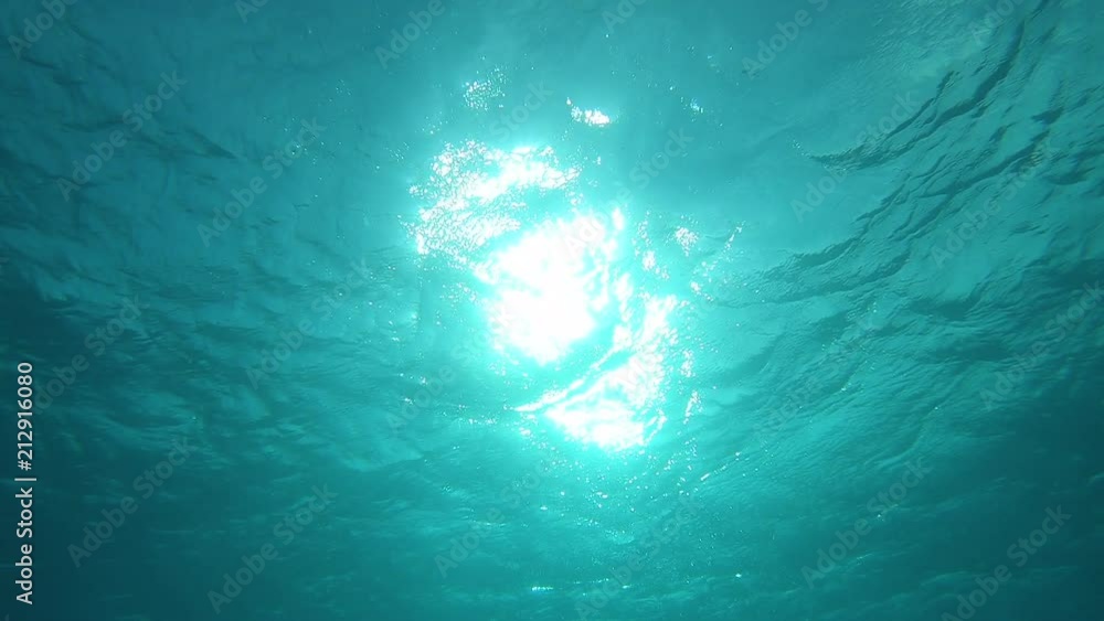 Slow motion, underwater, POV looking up at the glimmering surface of ...