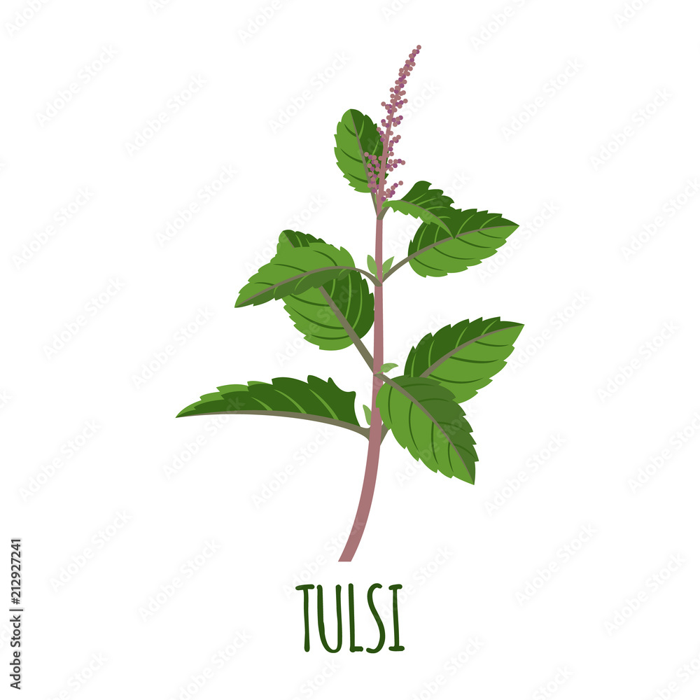 Tulsi icon in flat style on white background Stock Vector | Adobe Stock