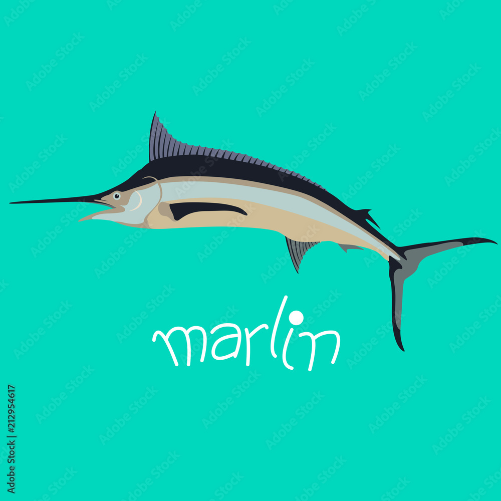 marlin fish vector illustration flat style profile Stock Vector | Adobe ...