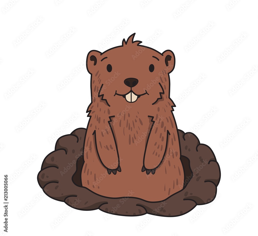 Cute friendly groundhog looking out from the burrow on white background ...