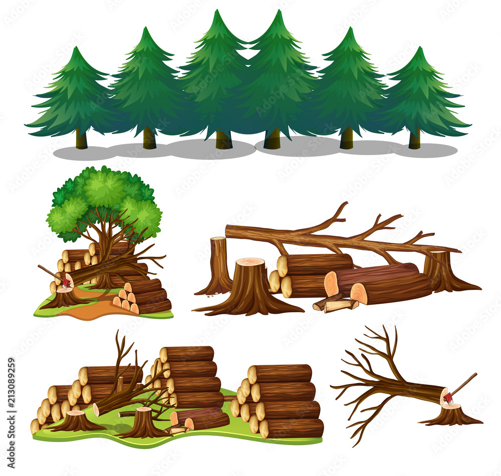 A Set of Wood Element Stock Vector | Adobe Stock