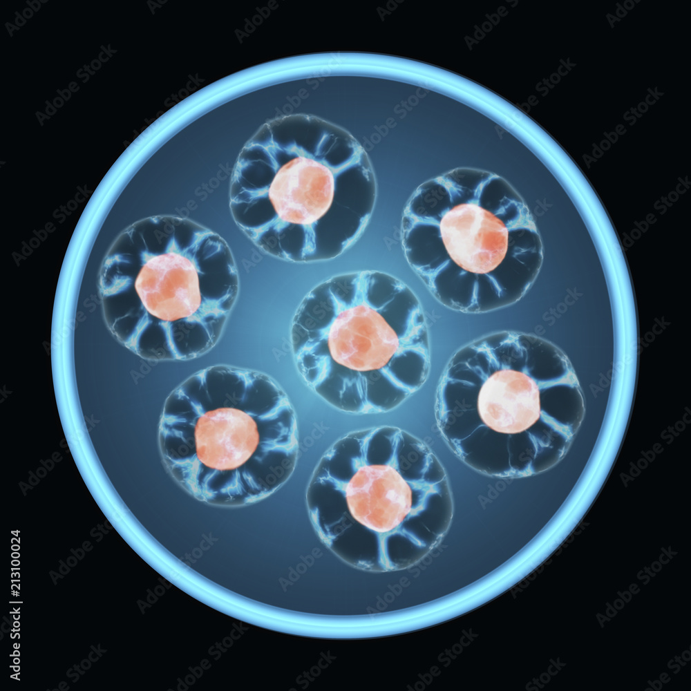 Cells Growing In A Tissue Culture Petri Dish Isolated On Black ...