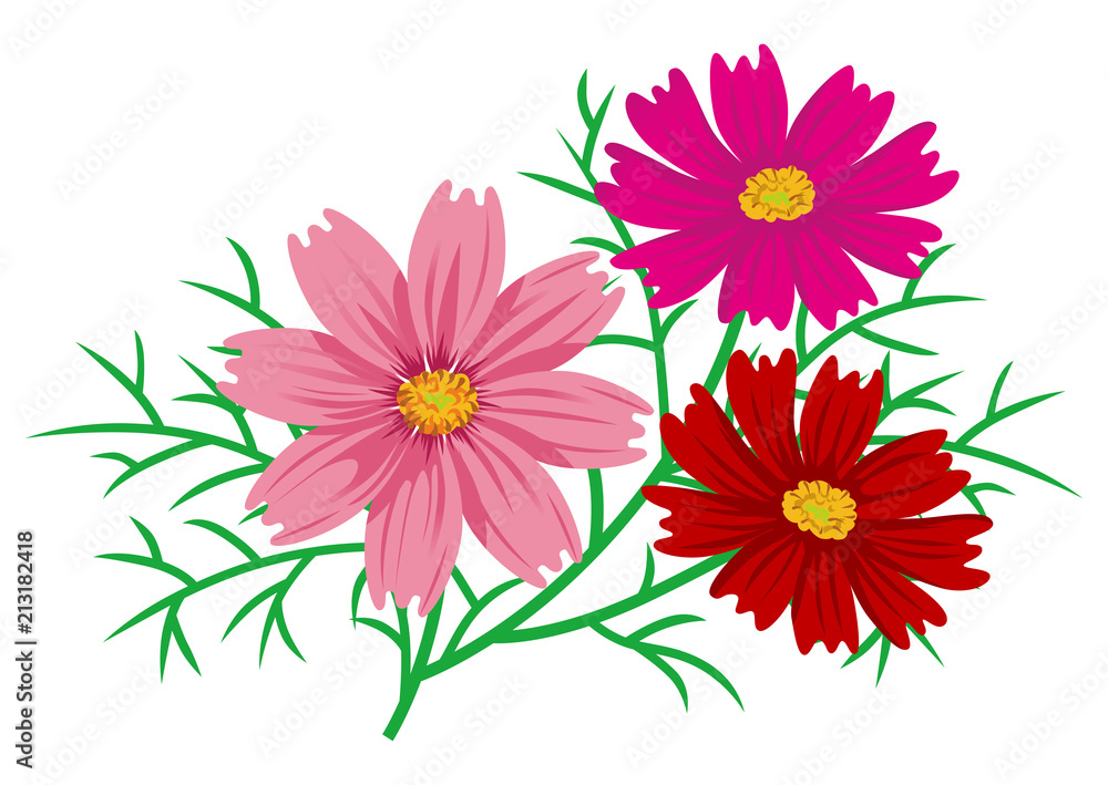 Cosmos flowers clip art Stock Vector | Adobe Stock