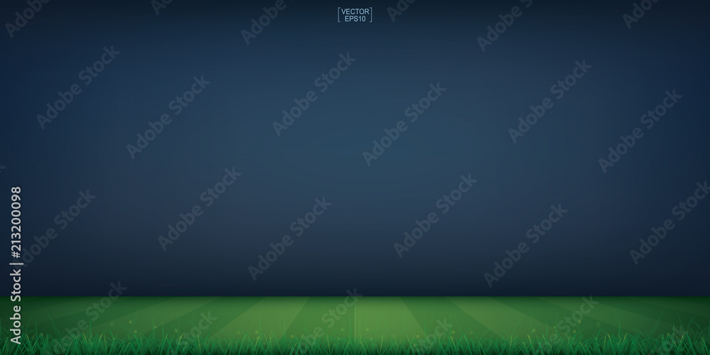 Soccer field or football field stadium background. Vector. Stock Vector ...