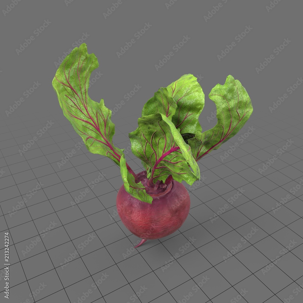 Red beet Stock 3D asset | Adobe Stock