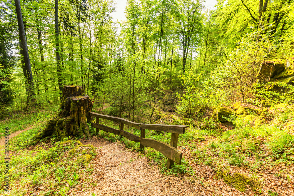Beautiful spring forest landscape with in area of mill stone and ice ...