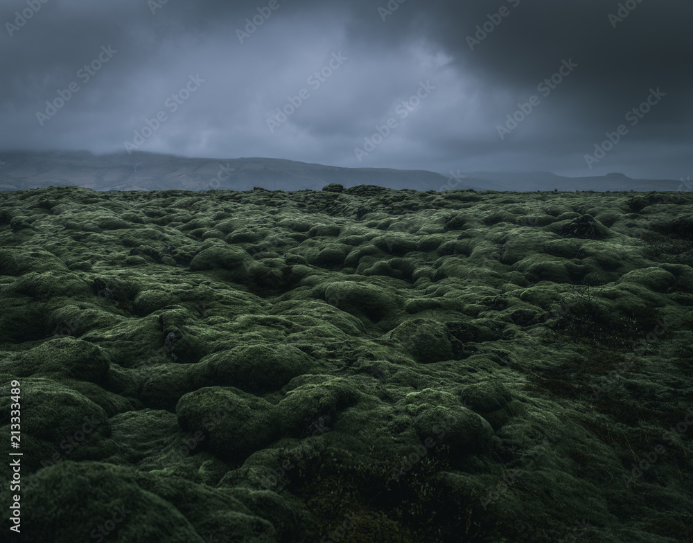 wide wild moss field in Iceland with a dramatic cloudy sky and ...