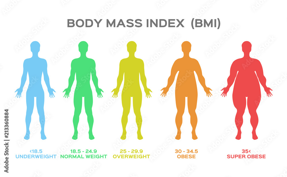 body mass index vector Stock Vector | Adobe Stock