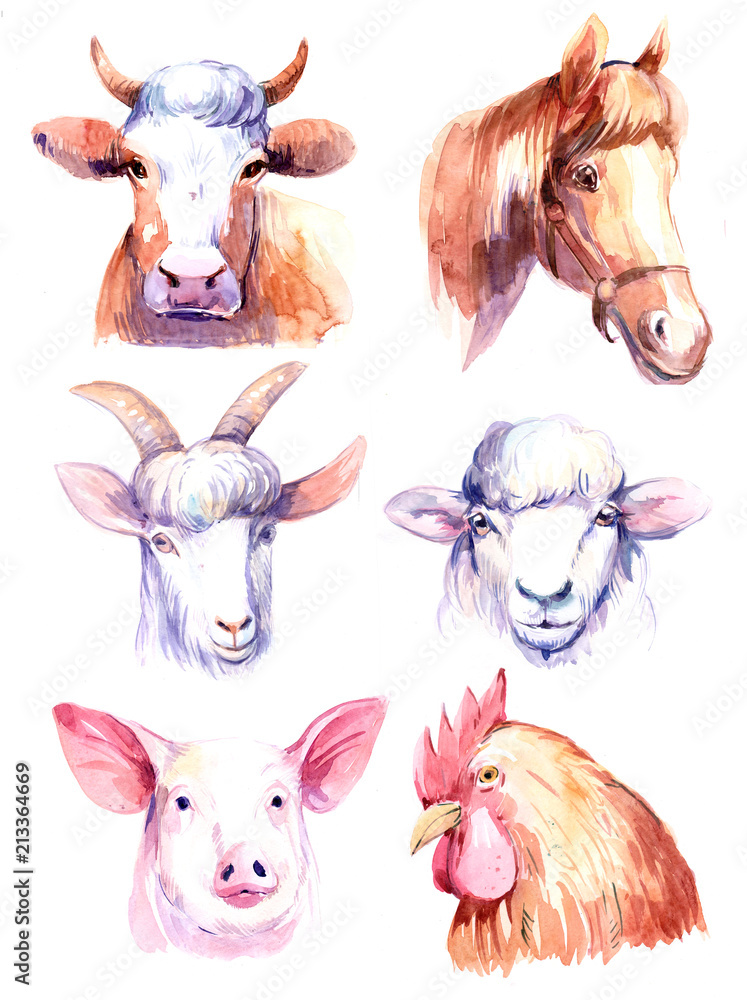 Farm animals. Cow, horse, sheep, goat. Watercolor illustration Stock ...