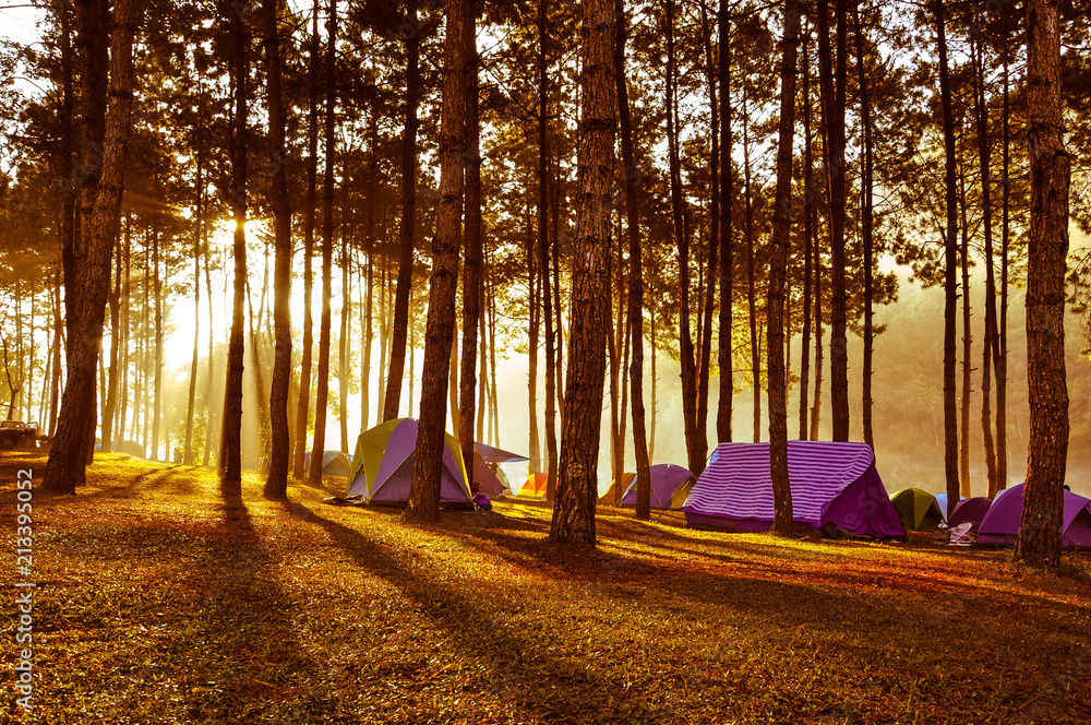 Camping Tent Background