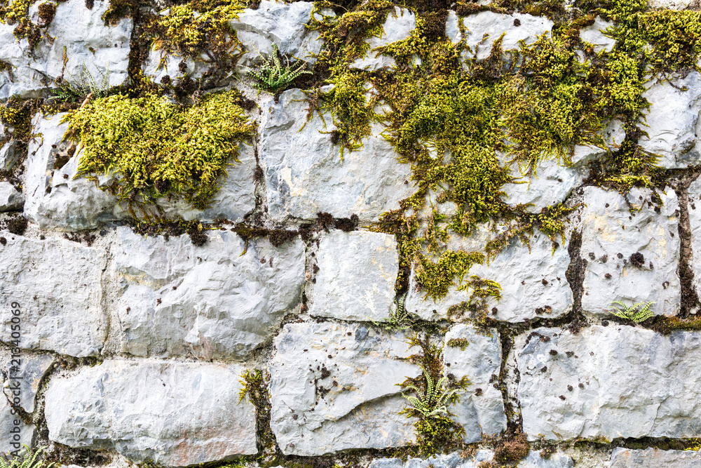 Old mossy stone texture Stock Photo | Adobe Stock