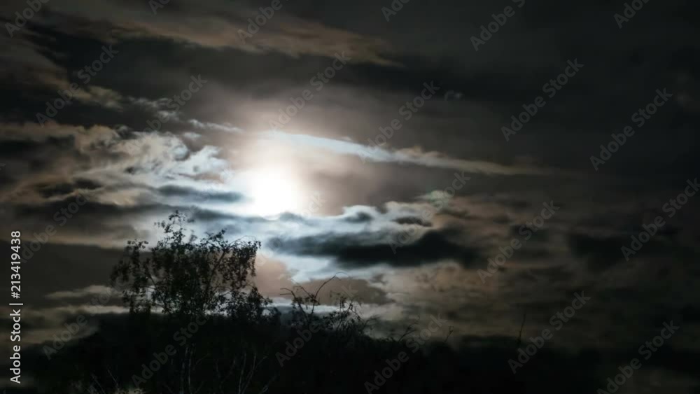 Full Moon Moves in the Night Sky through Dark Clouds and Trees. Time ...