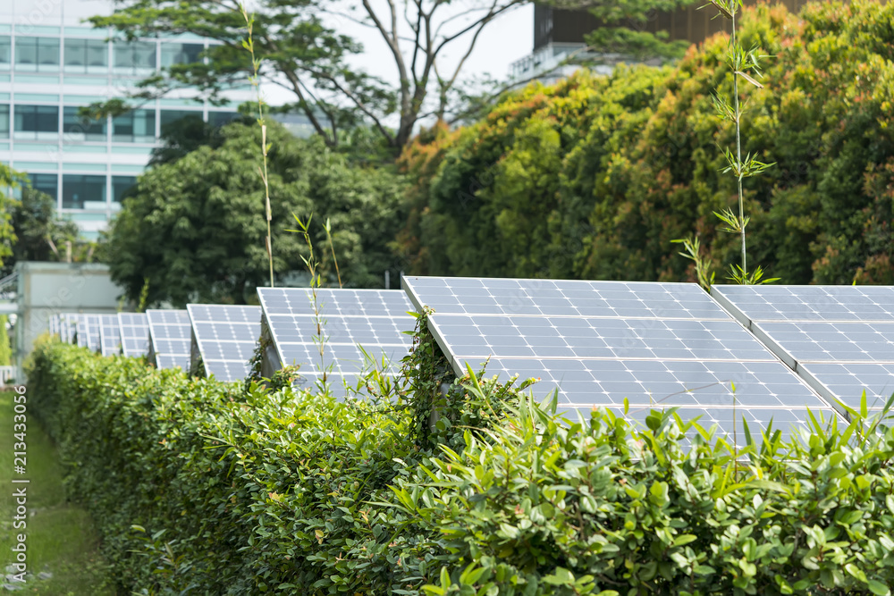Ecological energy renewable solar panel plant with urban landscape ...