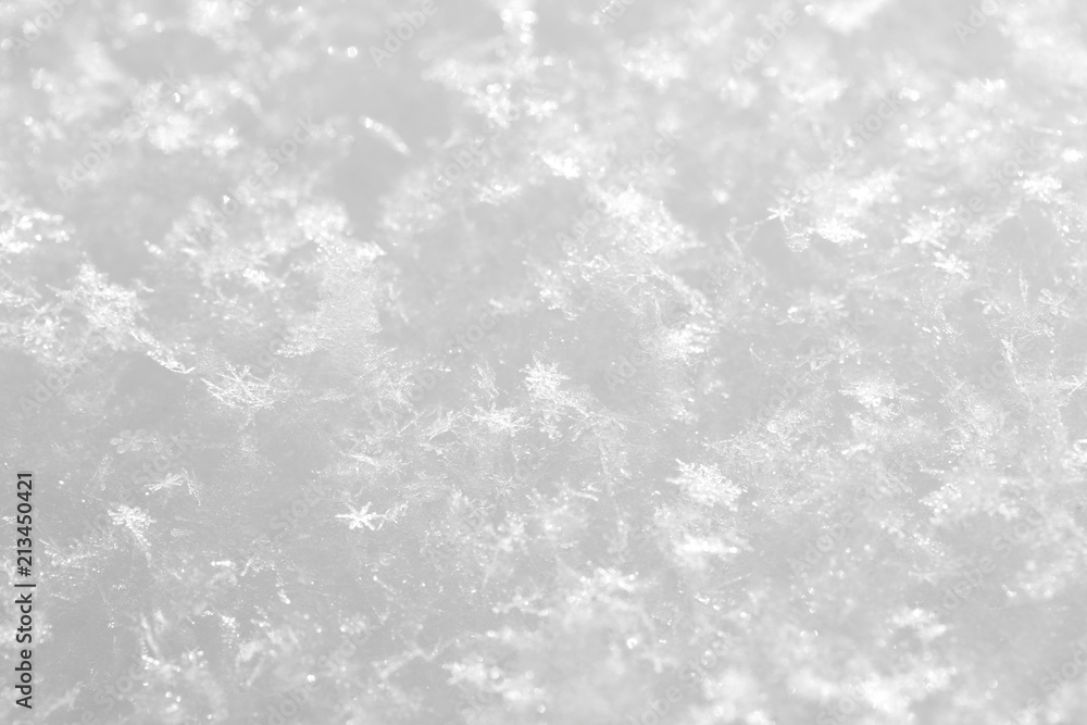 Shiny White Background Photography