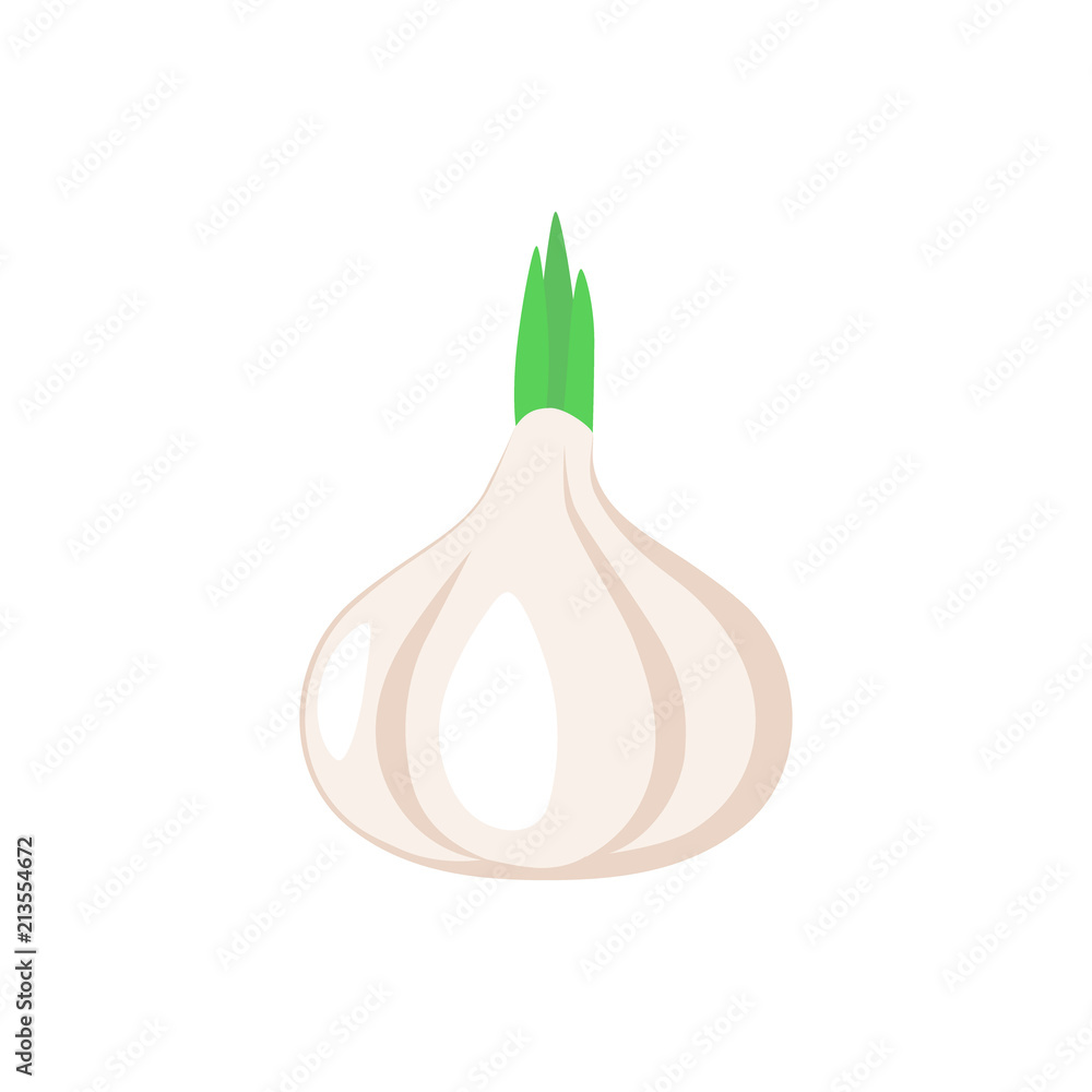 Garlic Cartoon Images