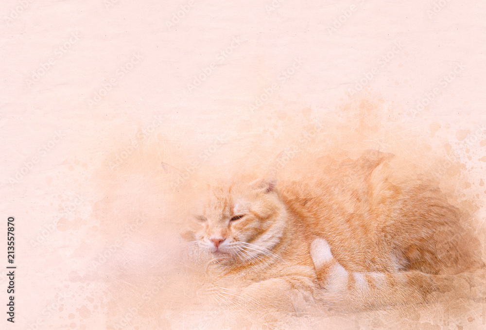 Watercolor portrait of orange cat. art paint color on canvas for ...