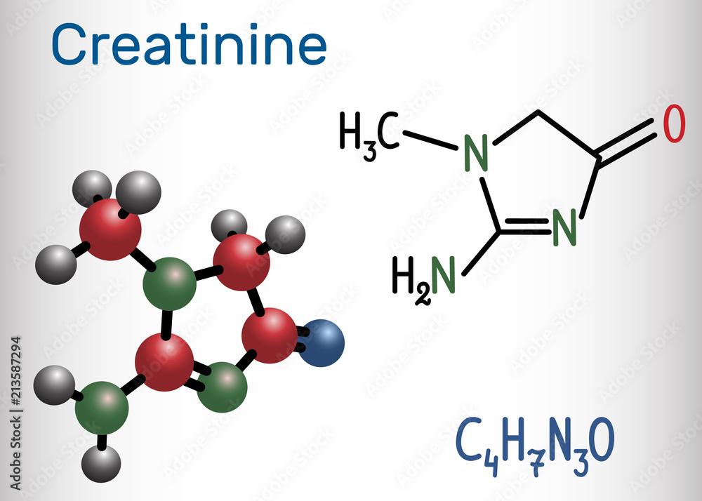 Creatinine molecule. Structural chemical formula and molecule model ...