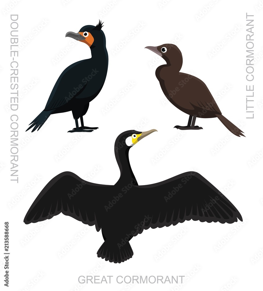 Bird Cormorant Set Cartoon Vector Illustration Stock Vector | Adobe Stock