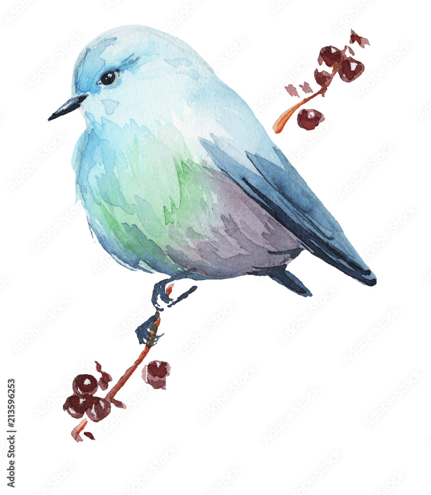 Watercolor bird illustration clipart Stock Illustration | Adobe Stock