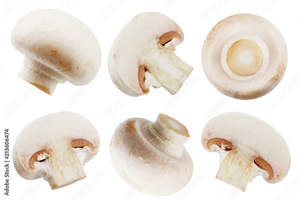 Champignon mushrooms close-up isolated on white background Stock-Foto ...