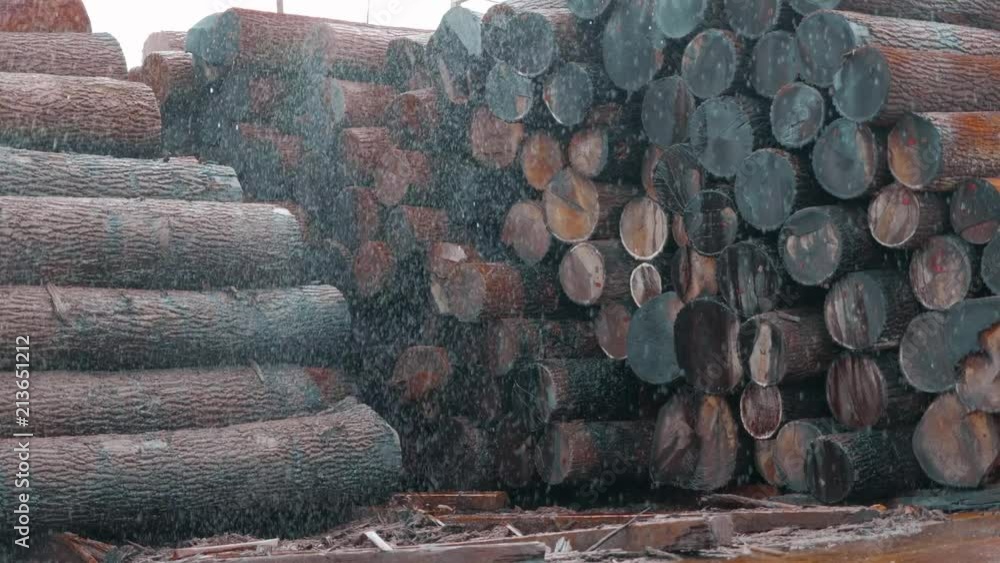 Lots of logs. Logging of wooden logs. The cut down trees lie in a heap ...