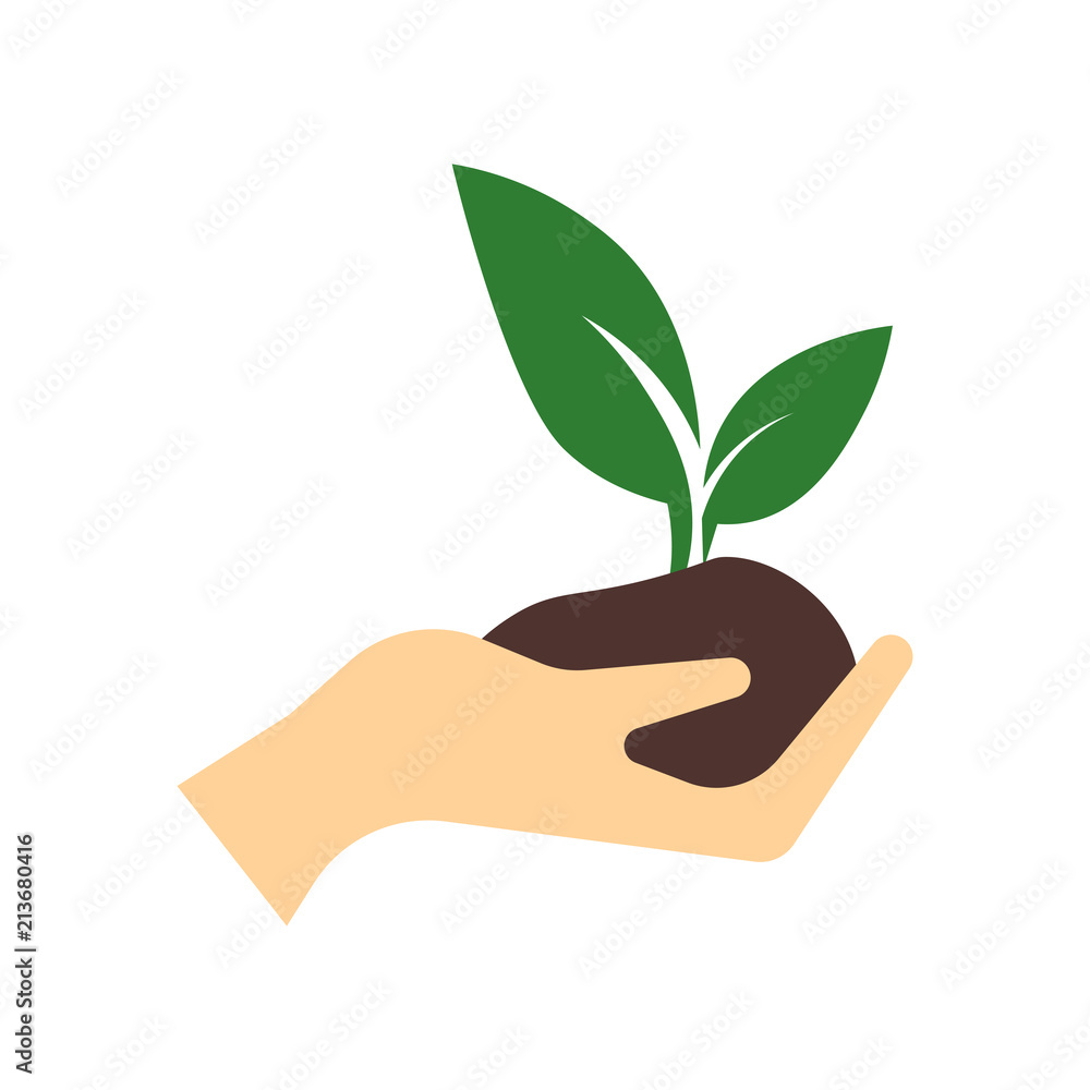 Sprout icon vector sign and symbol isolated on white background, Sprout ...