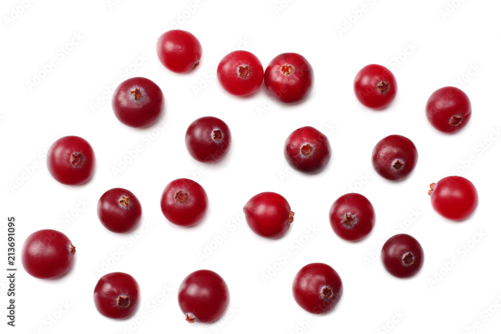 Cranberry isolated on white. With clipping path. Full depth of field ...